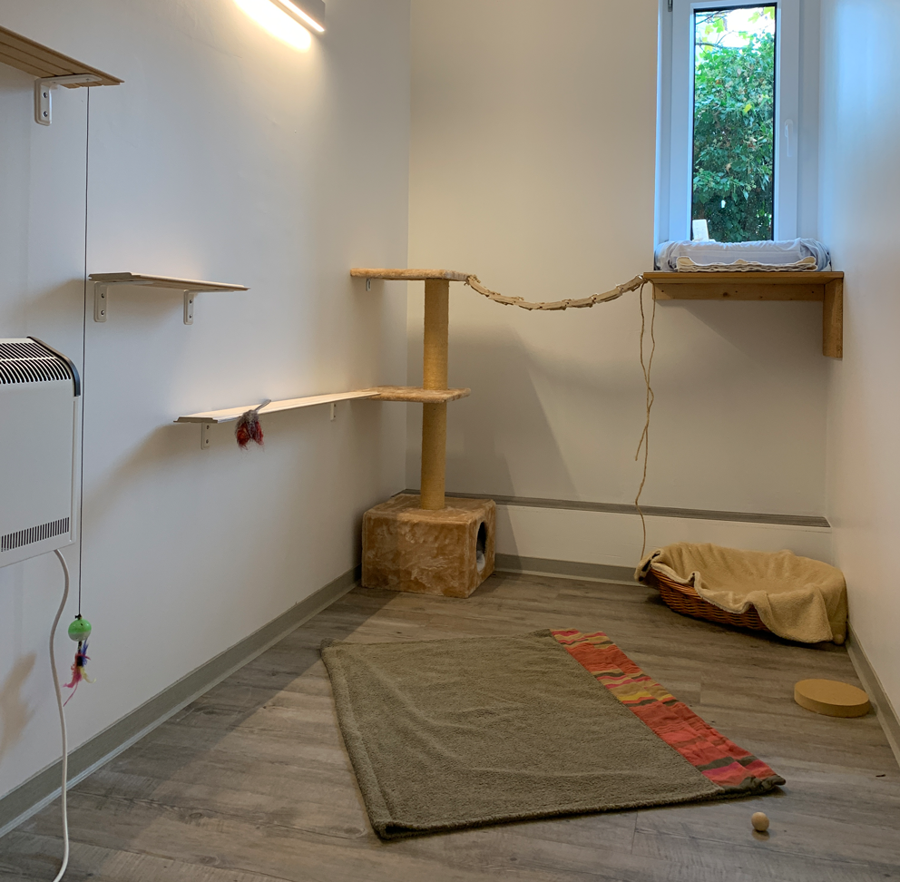 Kleintierpraxis Meinhardt in Karlsruhe | Katzenhotel